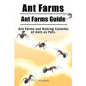 Find the best price on Ant Farms. Ant Farms Guide. Ant Farms and ...