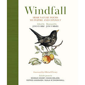 Find the best price on Windfall (inbunden, eng) | Compare deals on ...