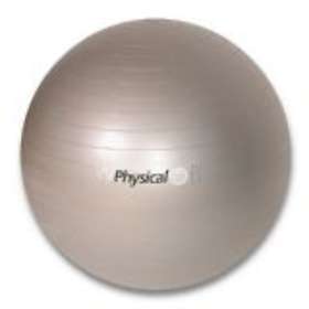 Find the best price on Physical Company Pro Stability Gym Ball 65cm ...