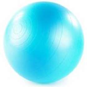 Find the best price on Stott Stability Pilatesboll 55cm | Compare deals ...