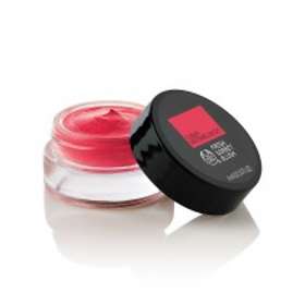 Find the best price on The Body Shop Fresh Sorbet Blush 6ml | Compare ...