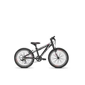 Focus raven rookie 20 store