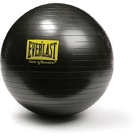Find the best price on Everlast Fitness Gym Ball 75cm | Compare deals ...