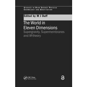 Find the best price on The World in Eleven Dimensions | Compare deals ...