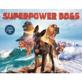 Find the best price on SuperPower Dogs | Compare deals on PriceSpy NZ