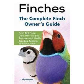 Find the best price on Finches: Finch Bird Types, Care, Where To Buy ...