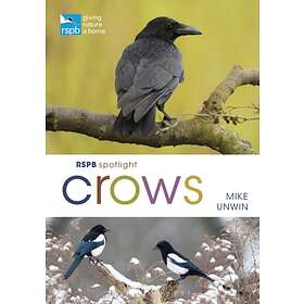 Find the best price on RSPB Spotlight Crows | Compare deals on PriceSpy NZ
