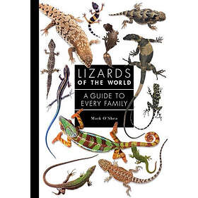 Find the best price on Lizards Of The World: A Guide To Every Family ...