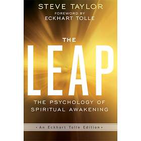 Find the best price on Steve Taylor The Leap av | Compare deals on ...