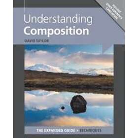 Find the best price on D Taylor: Understanding Composition | Compare ...