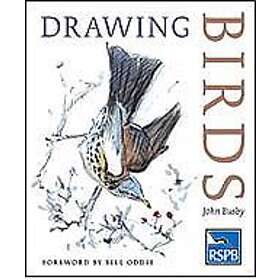 Find the best price on John Busby: Drawing Birds | Compare deals on ...
