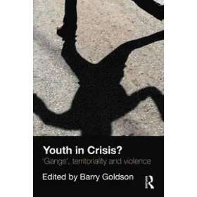 Find the best price on Barry Goldson: Youth in Crisis? | Compare deals ...