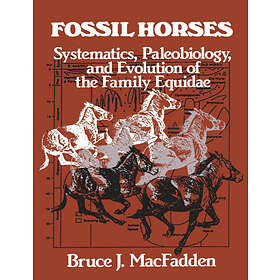 Find the best price on Bruce J MacFadden: Fossil Horses | Compare deals ...