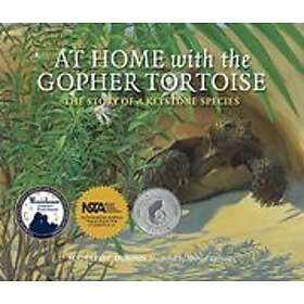 Find the best price on Madeleine Dunphy: At Home with the Gopher ...
