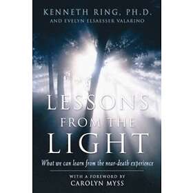 Find the best price on Kenneth Ring: Lesson from the Light | Compare ...