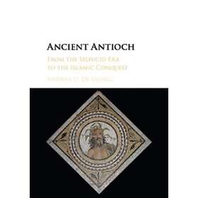 Find the best price on Andrea U De Giorgi: Ancient Antioch | Compare ...
