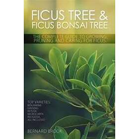 Find the best price on Bernard Brook: Ficus Tree and Bonsai The ...