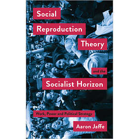 Find the best price on Aaron Jaffe: Social Reproduction Theory and the ...