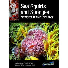 Find the best price on Sarah Bowen, Claire Goodwin, David Kipling ...