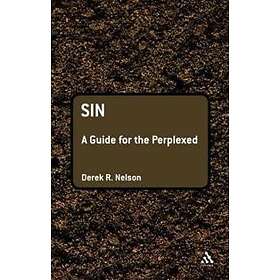 Find the best price on Sin: A Guide for the Perplexed | Compare deals ...