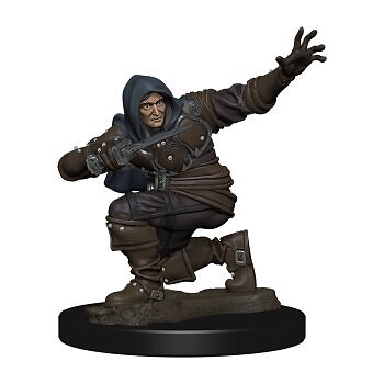 Find the best price on Pathfinder Battles: Premium Painted Figure Human ...