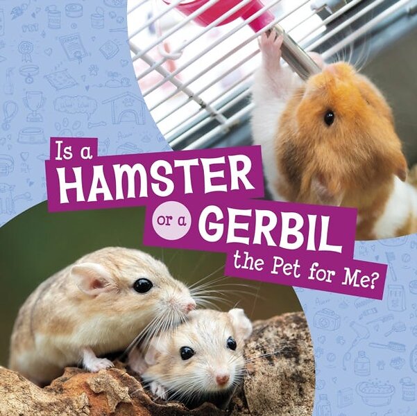 Find the best price on Is a Hamster or a Gerbil the Pet for Me ...