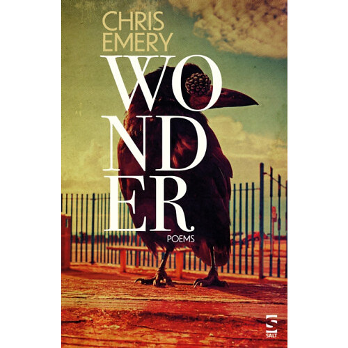 Find the best price on Wonder Emery, Chris | Compare deals on PriceSpy NZ