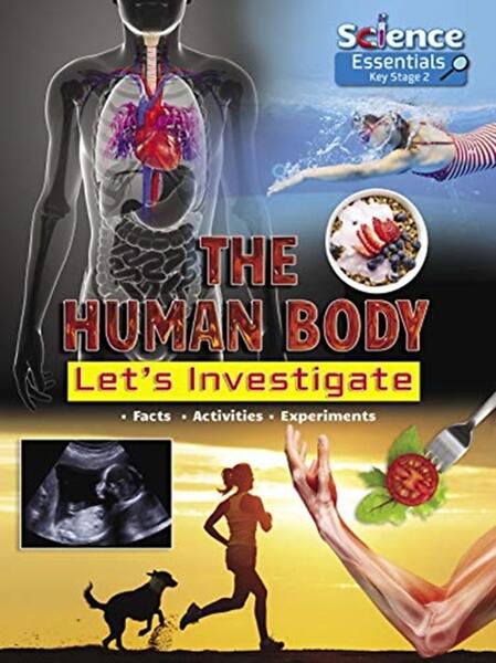 Find the best price on The Human Body: Let's Investigate | Compare ...